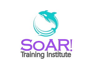 SoAR! Training Institute eLearning Platform for Priscilla Kucer ...